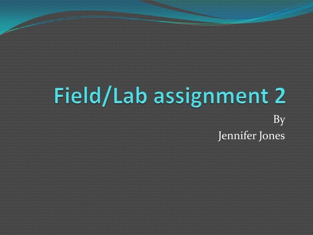 Field lab assignment 2 | PPTX