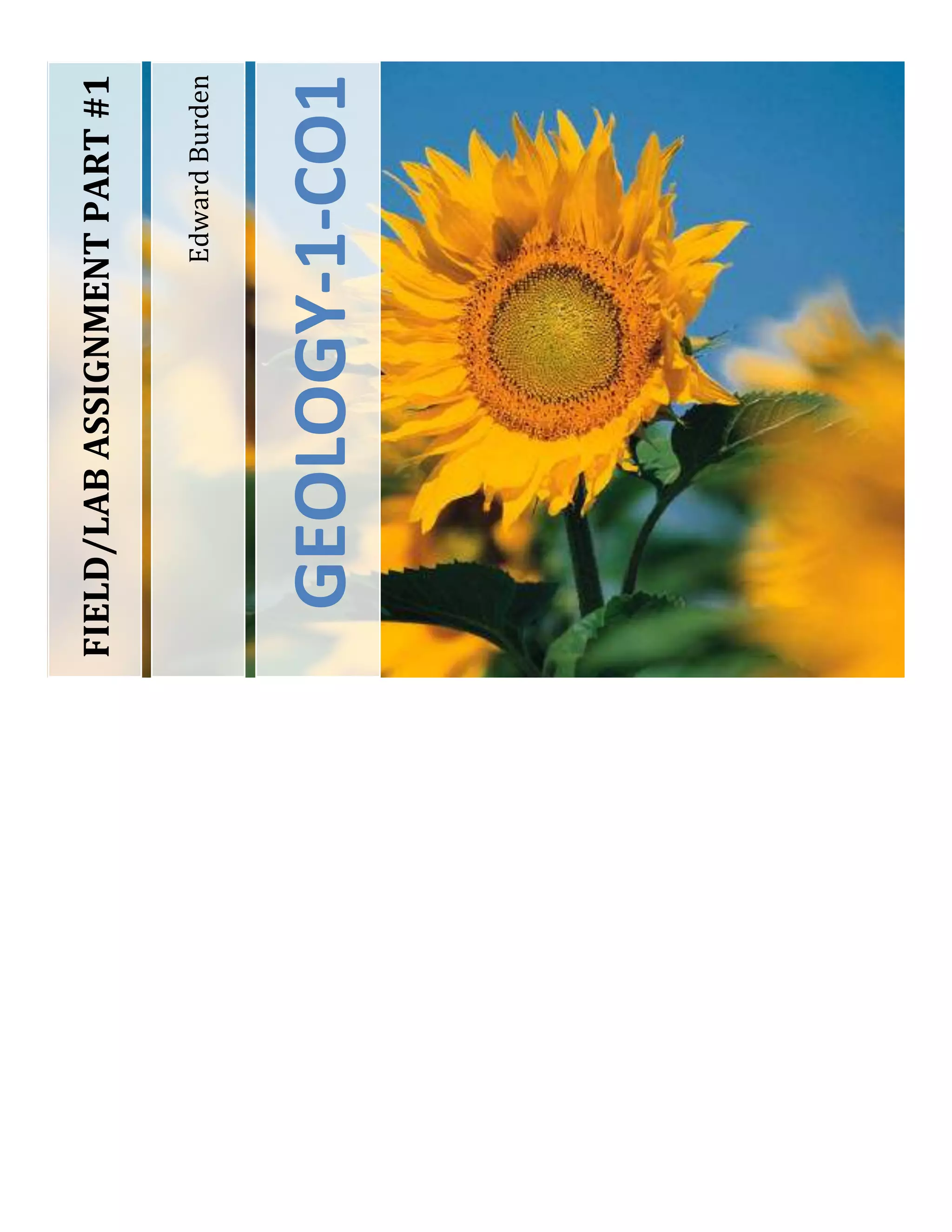 Field lab part one | PDF