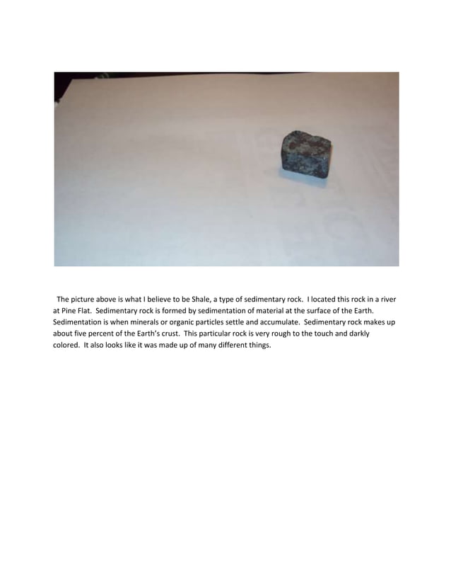 Field lab part one | PDF