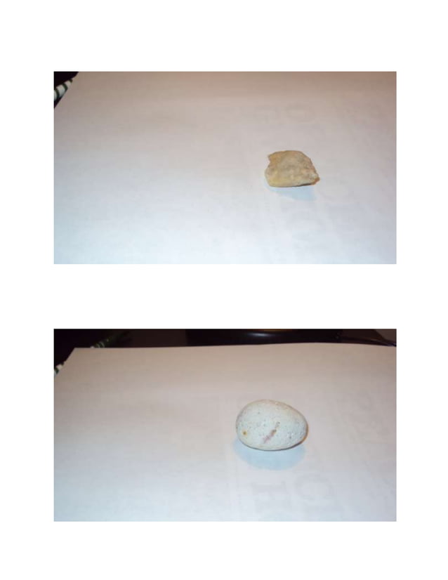 Field lab part one | PDF