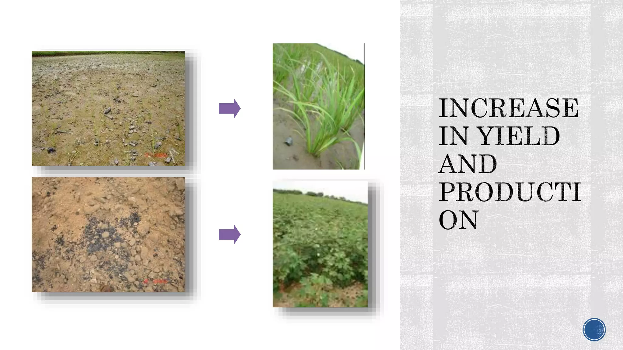 FIELD LEVEL TESTING OF BIOCHAR.pptx