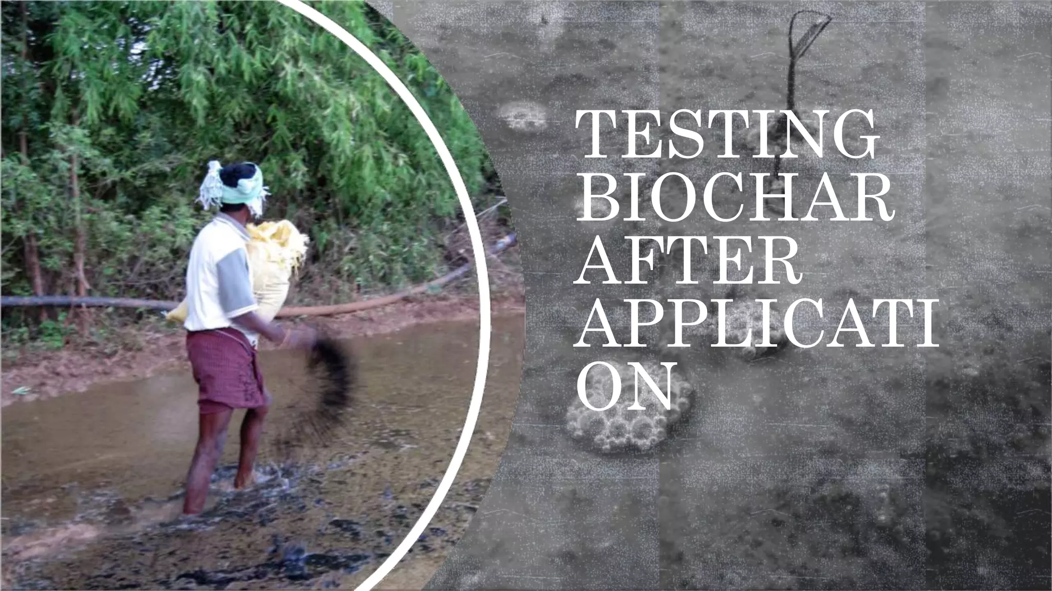 FIELD LEVEL TESTING OF BIOCHAR.pptx