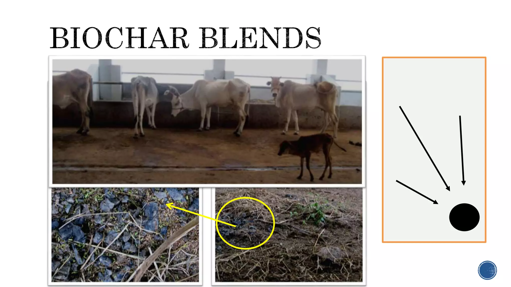 FIELD LEVEL TESTING OF BIOCHAR.pptx