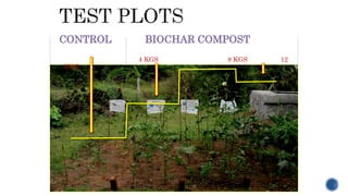 FIELD LEVEL TESTING OF BIOCHAR.pptx