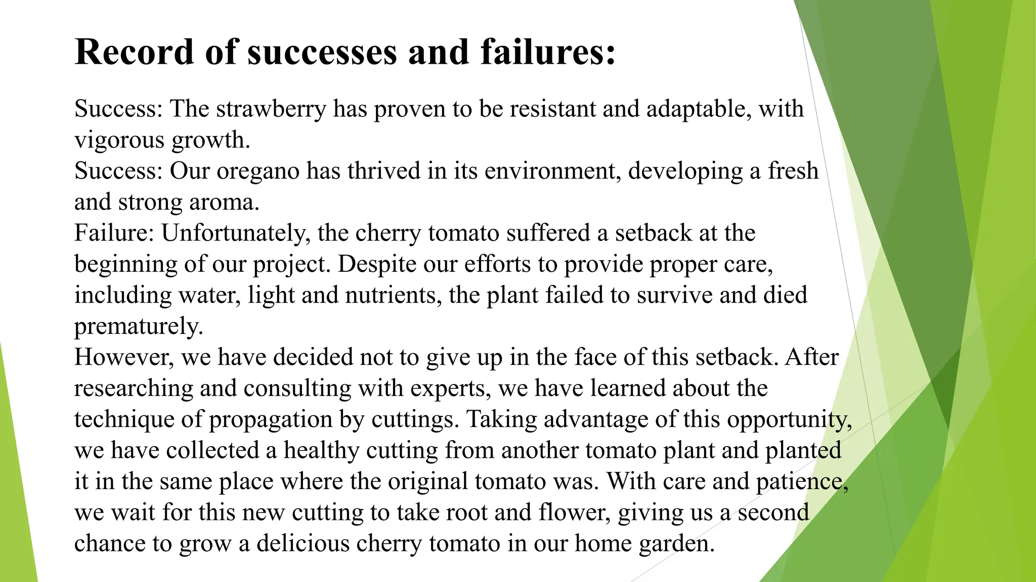 FIELD LOGGING.pptx Proceso de siembra de tres plantas. | PPT