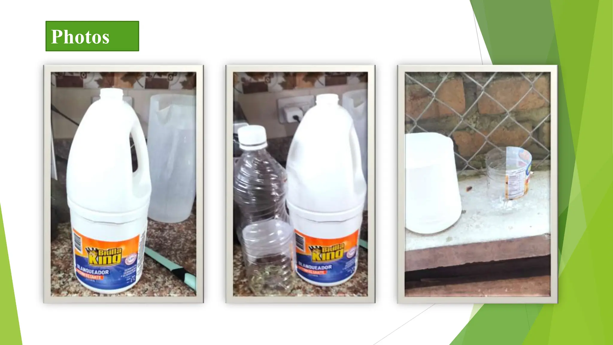 FIELD LOGGING.pptx Proceso de siembra de tres plantas. | PPT