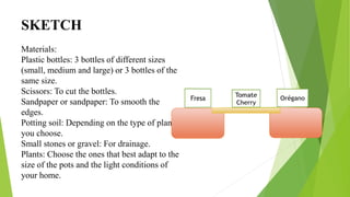 FIELD LOGGING.pptx Proceso de siembra de tres plantas. | PPTX