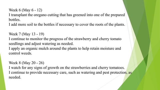 FIELD LOGGING.pptx Proceso de siembra de tres plantas. | PPT
