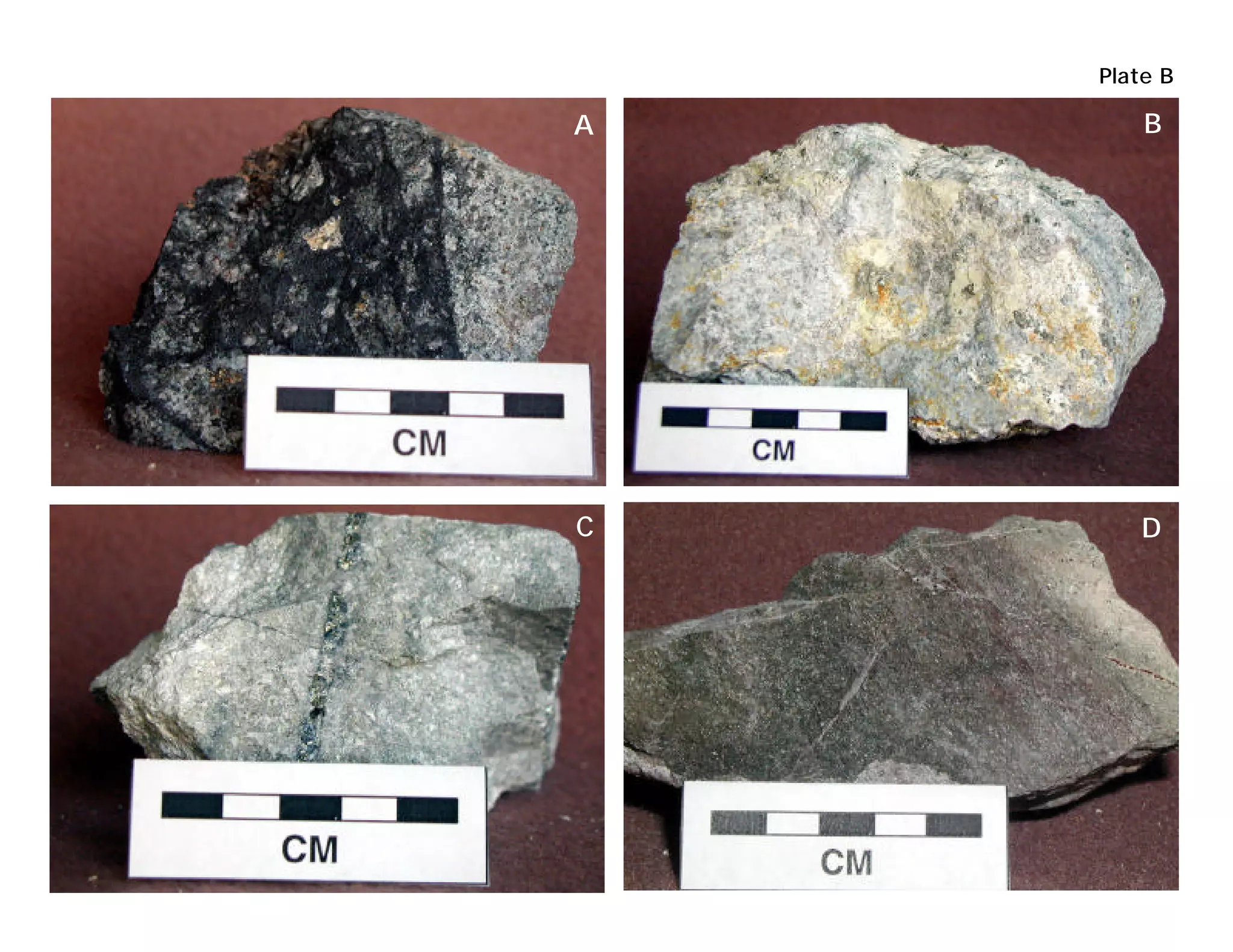 Field Mapping in Porphyry Copper Environments.pdf