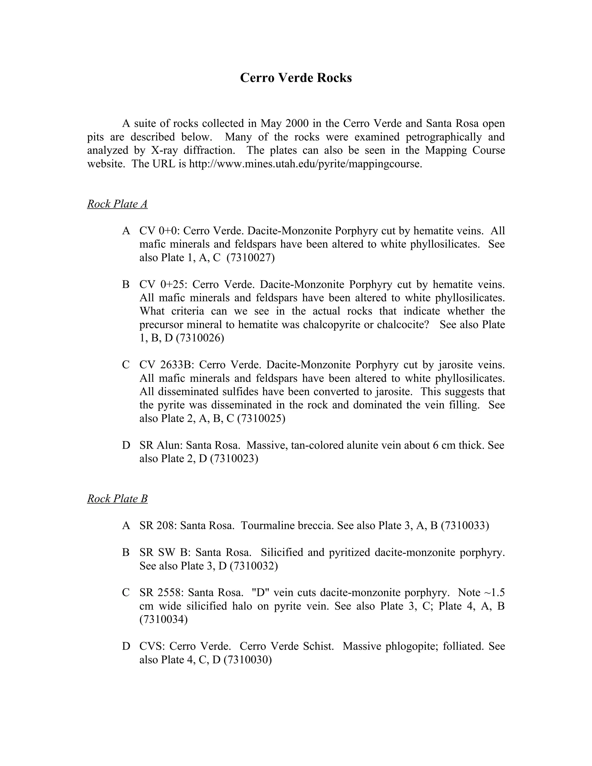 Field Mapping in Porphyry Copper Environments.pdf