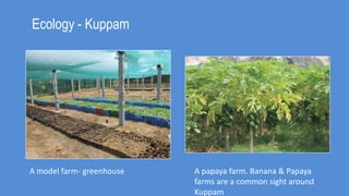 Field Notes II , Kuppam, Andhra Pradesh | PDF