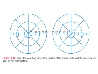 Field of vision | PPTX