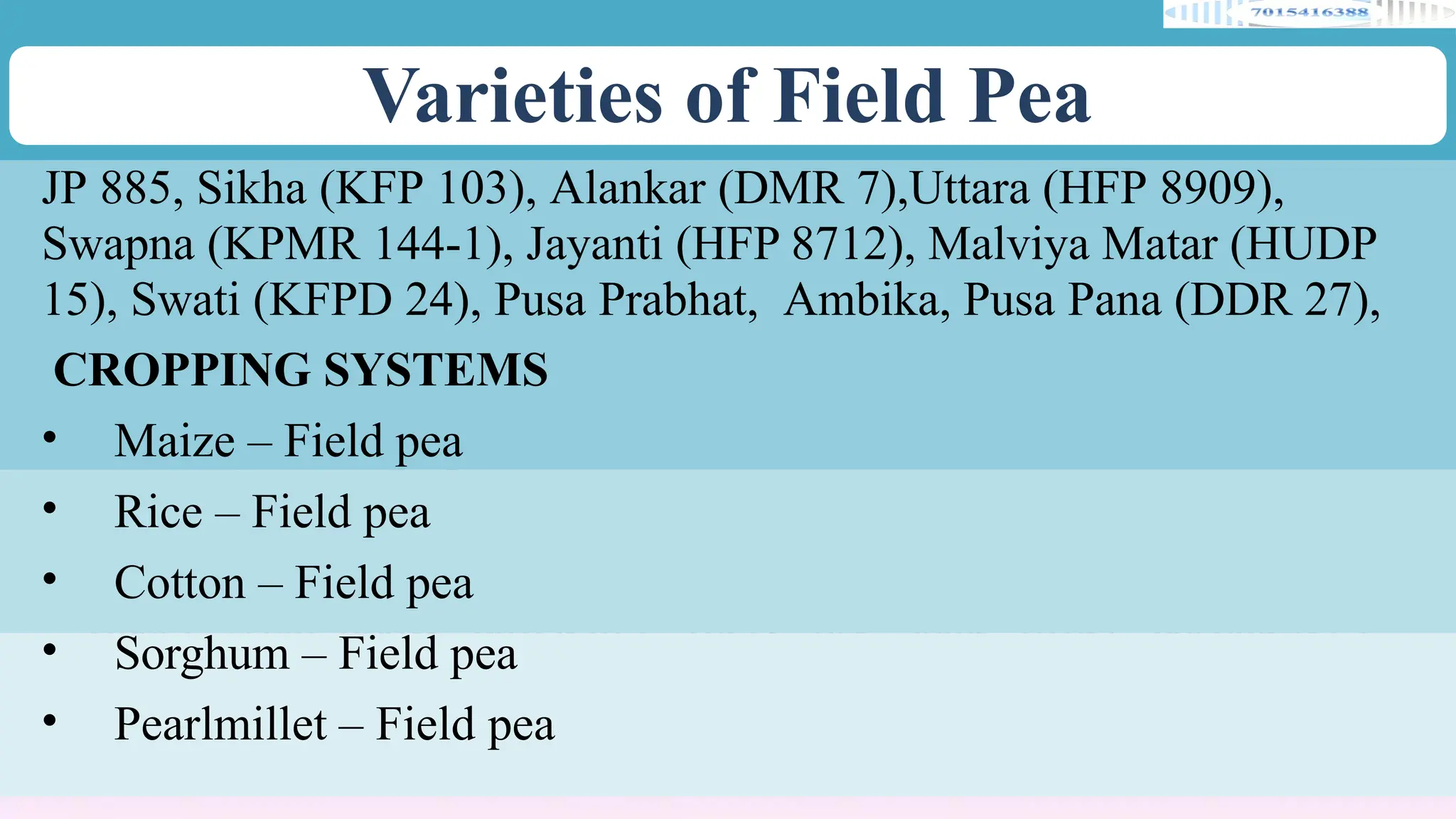 Presentation on Field Pea Field pea (Pisum sativum).pptx