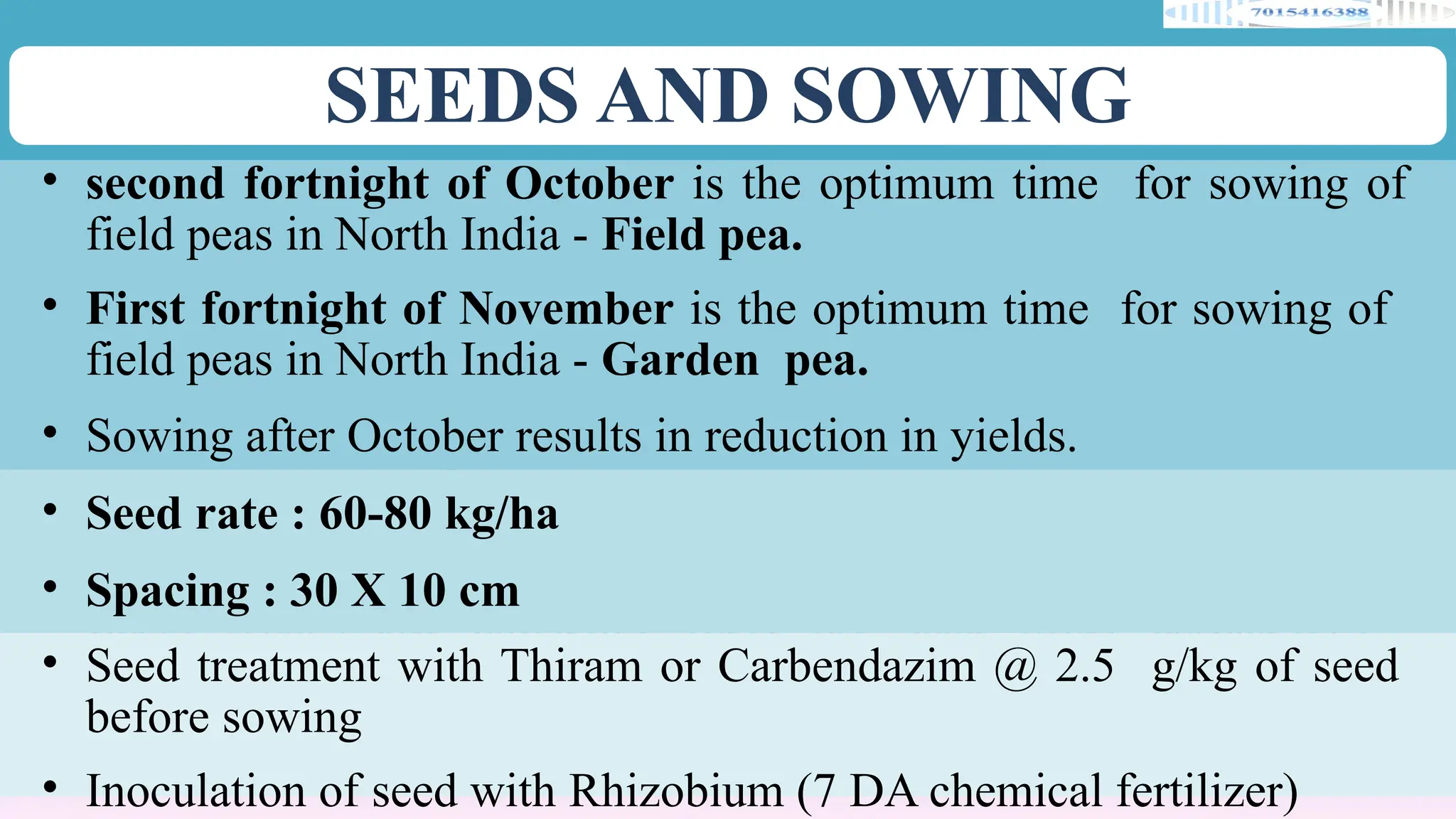 Presentation on Field Pea Field pea (Pisum sativum).pptx | Agriculture ...