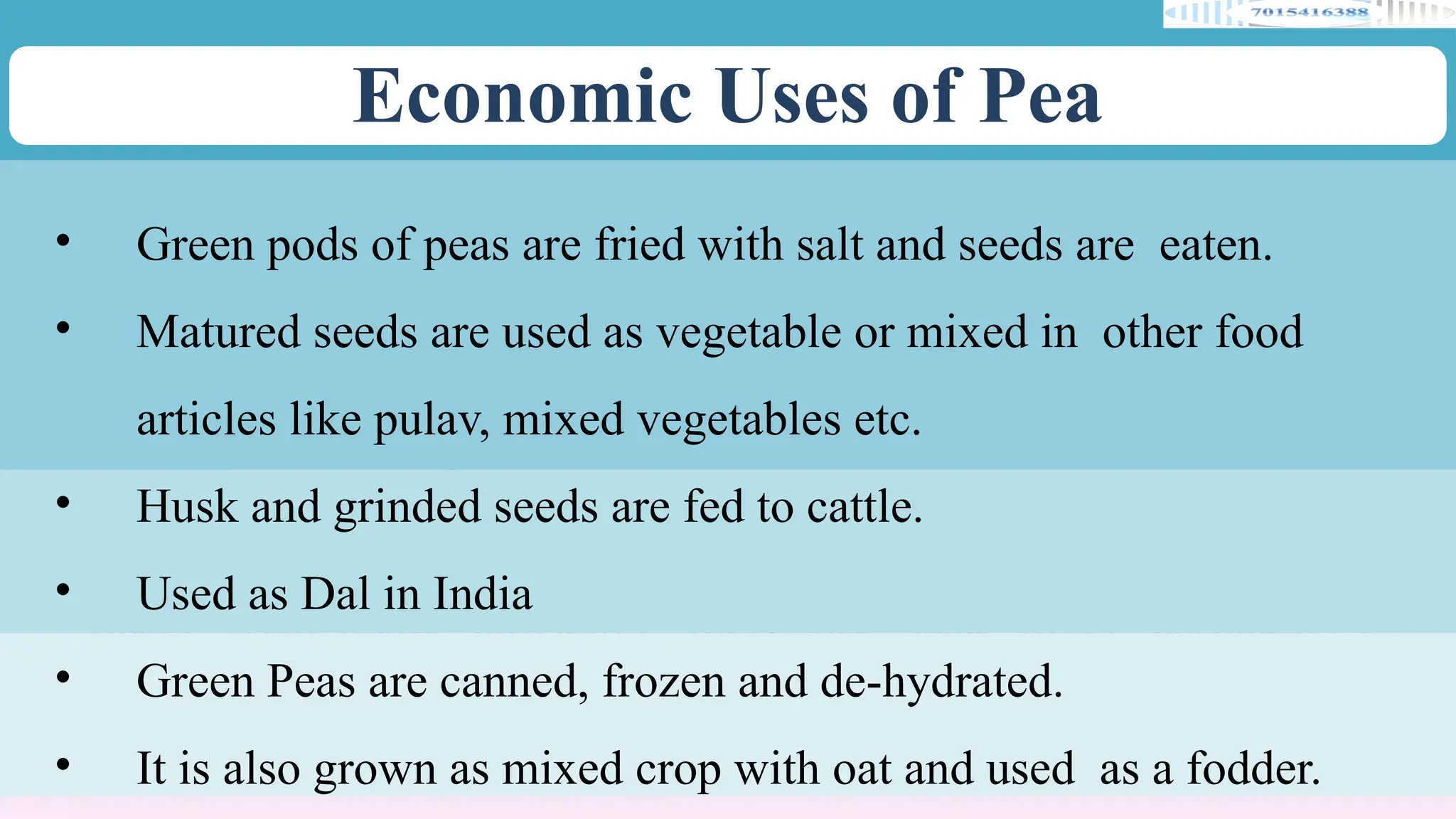 Presentation on Field Pea Field pea (Pisum sativum).pptx