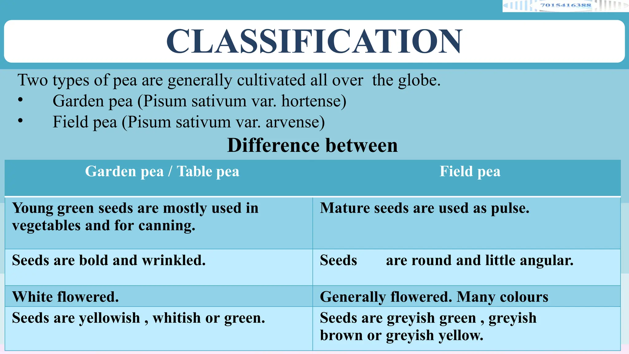 Presentation on Field Pea Field pea (Pisum sativum).pptx