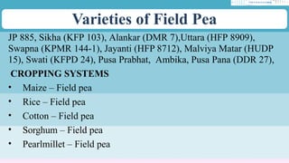 Presentation on Field Pea Field pea (Pisum sativum).pptx