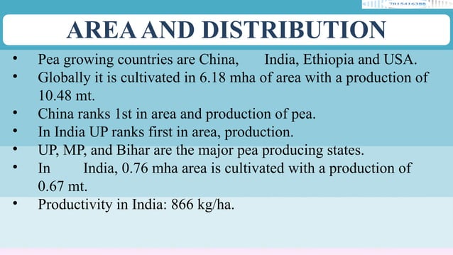 Presentation on Field Pea Field pea (Pisum sativum).pptx | Agriculture | Industries
