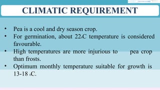 Cultivation Practices of Field Pea.pptx