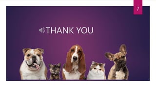 Field Placement Assignment.pptx