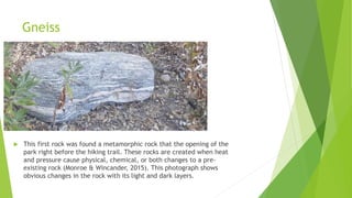 Field presentation | PPTX