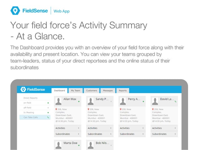 FieldSense Presentation | PDF | Email | Internet