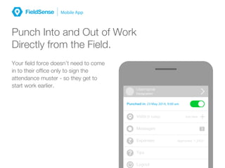 FieldSense Presentation | PDF