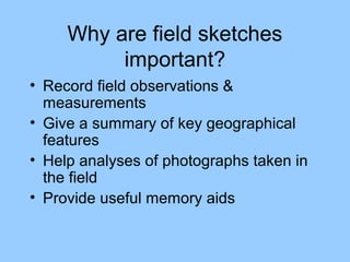 Field sketches and how to draw them | PPT | Drawing and Sketching ...
