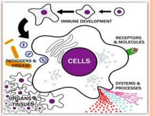 Fields of biochemistry | PPTX