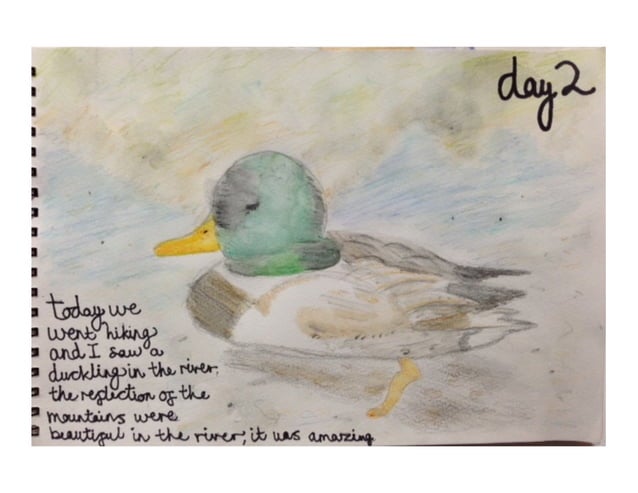 Field studies journal | PDF