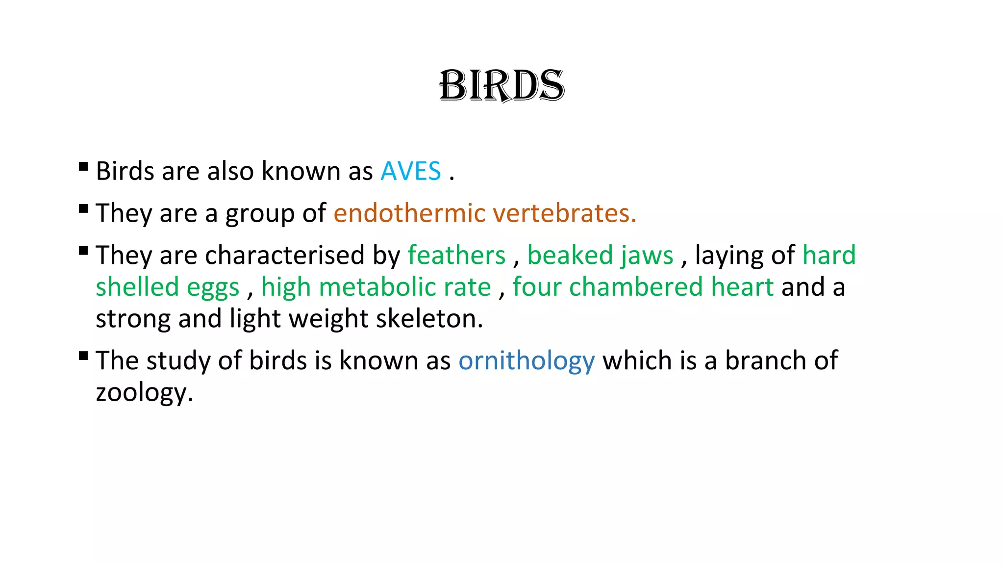 Field study of birds | PPT