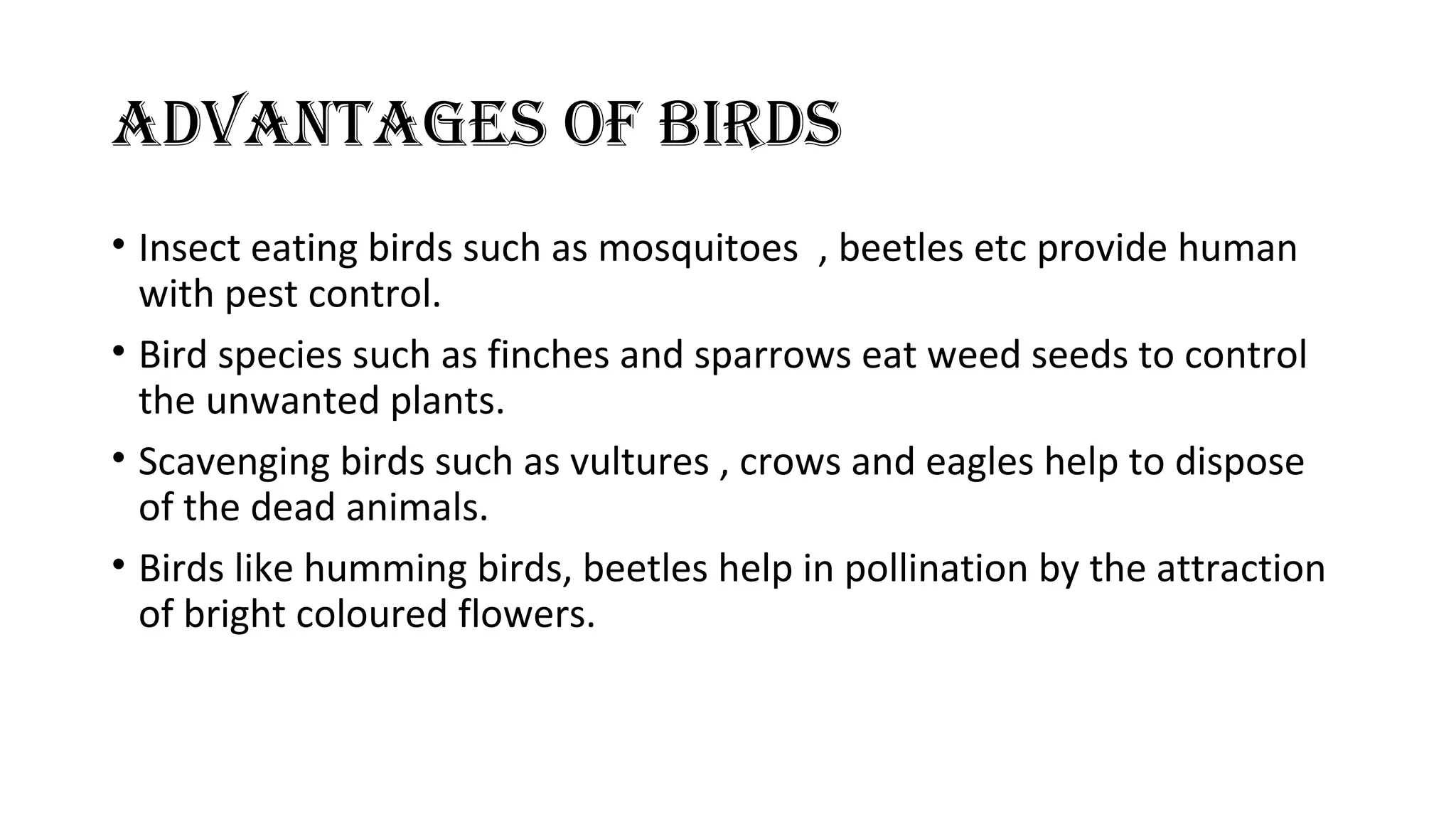 Field study of birds | PPT