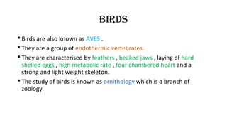 Field study of birds | PPT