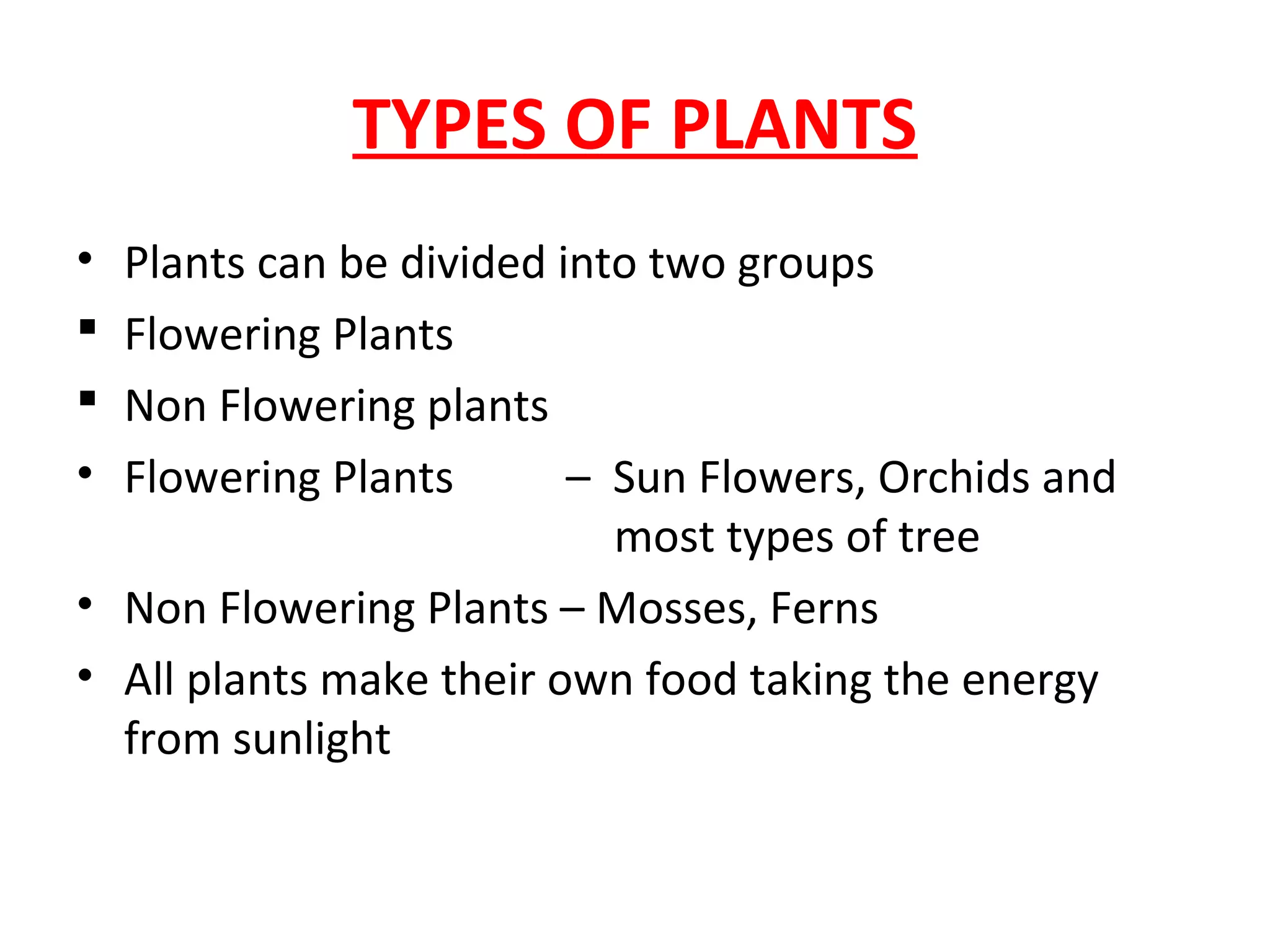 Field study on plants | PPT