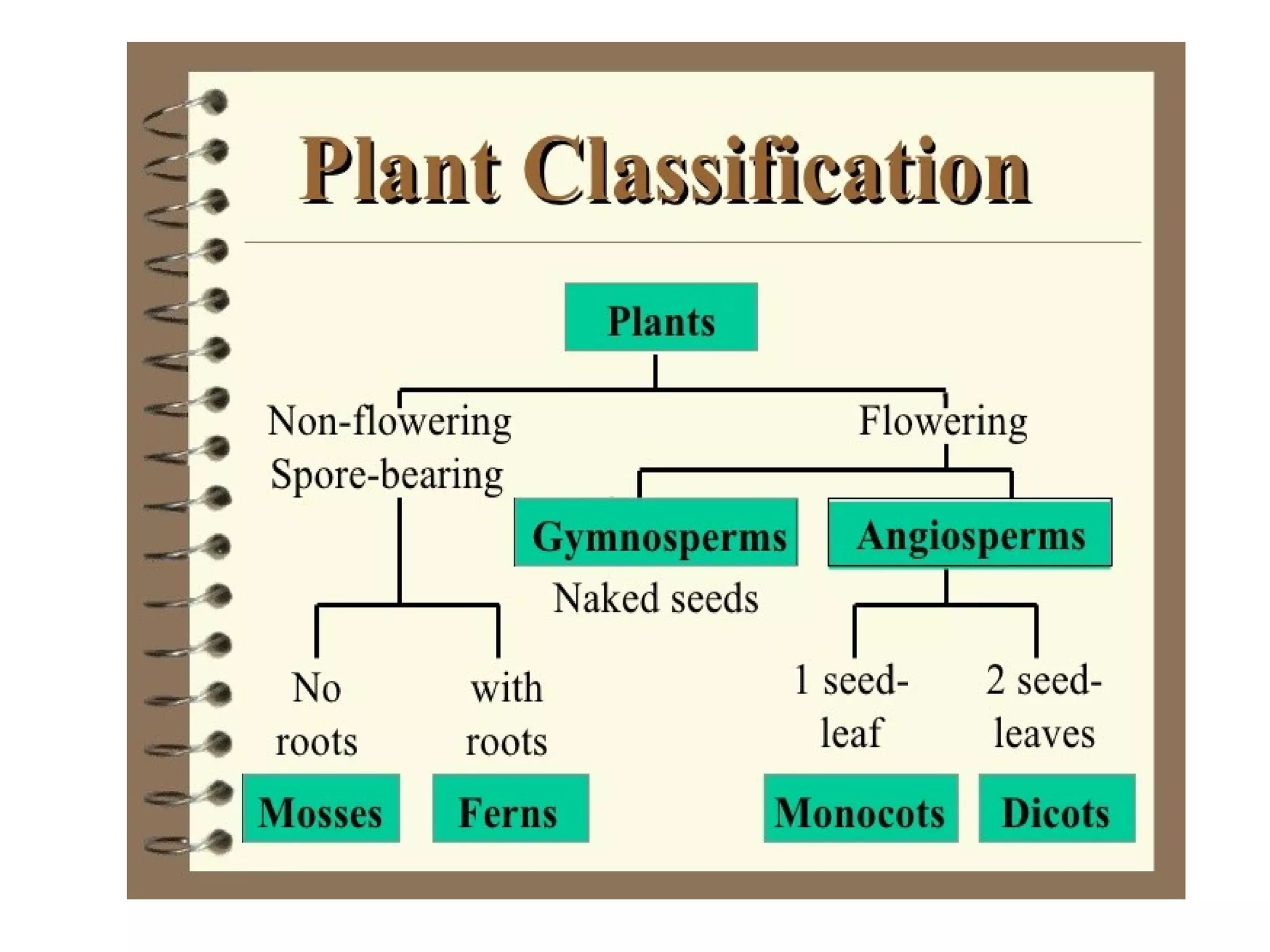 Field study on plants | PPT