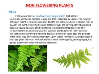 Field study on plants | PPT