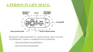 Kurt Lewin Life Space Theory – life spaceKurt Lewin Biography – ZBLXI