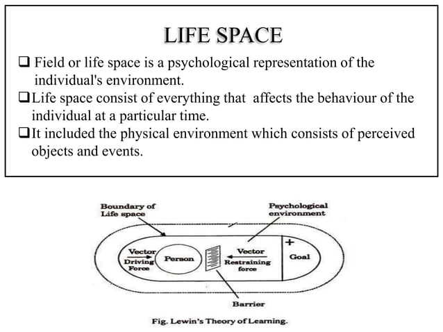 Kurt Lewin's Field Theory