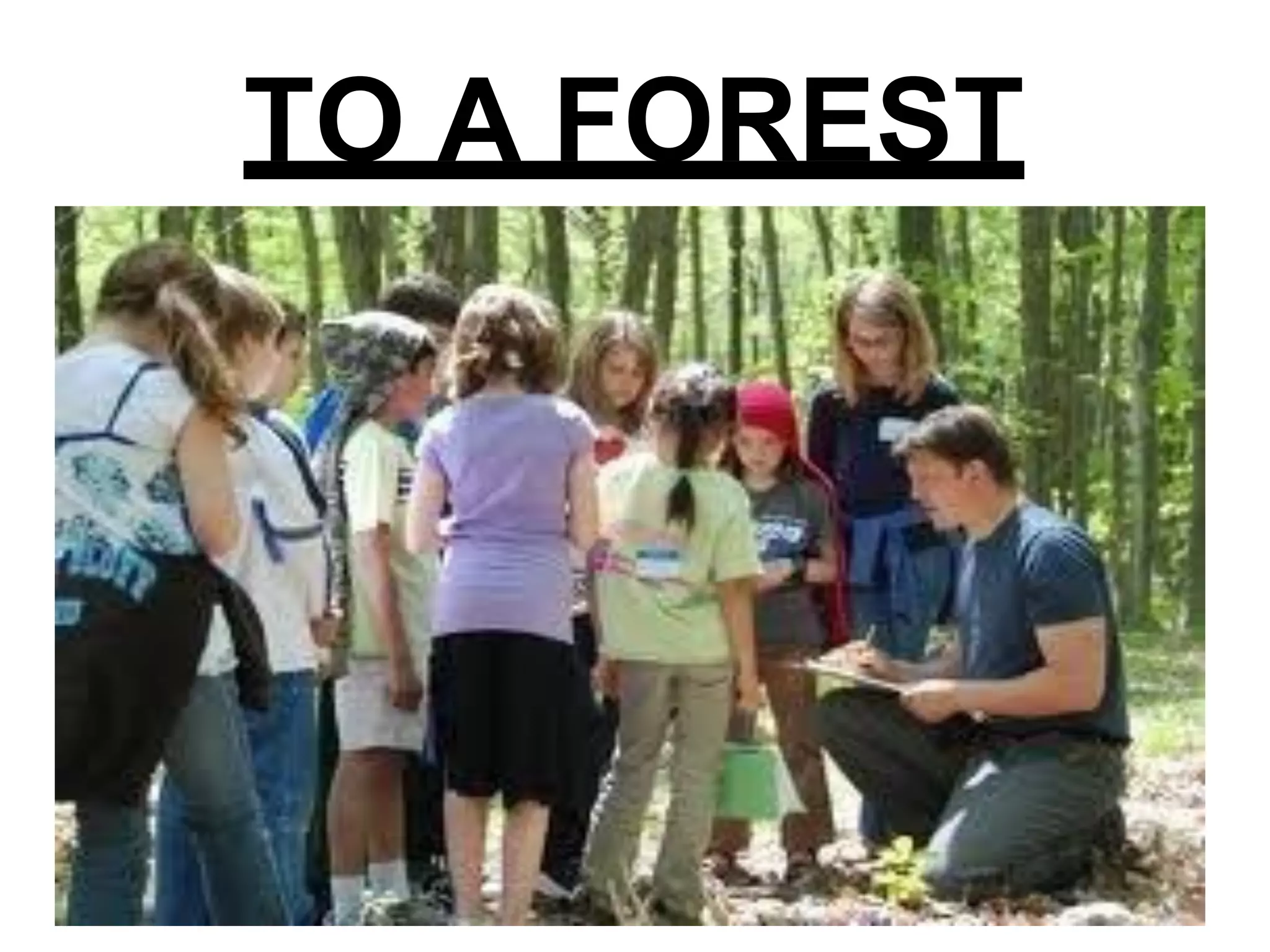 Field trip anand ync | PDF | Education