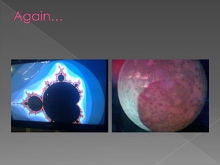 Trial presentation | PPTX