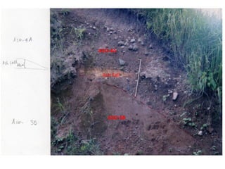 Field trip to Aso volcano, Kyushu, Japan | PDF
