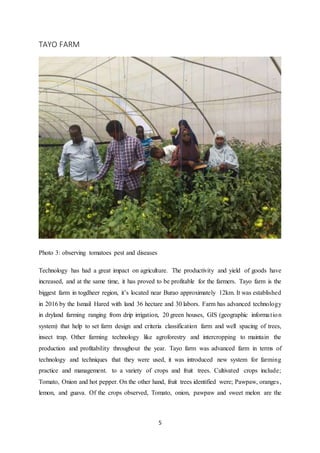 agriculture Field visit report | DOCX