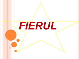 Fierul caracteristica generală | PPT