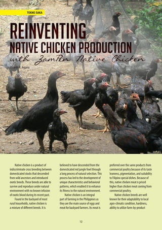 Fiesta mag native chicken (zam pen) | PDF