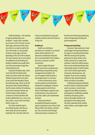 Fiesta mag native chicken (zam pen) | PDF