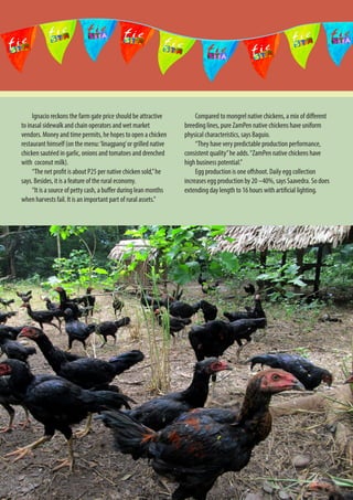 Fiesta mag native chicken (zam pen) | PDF