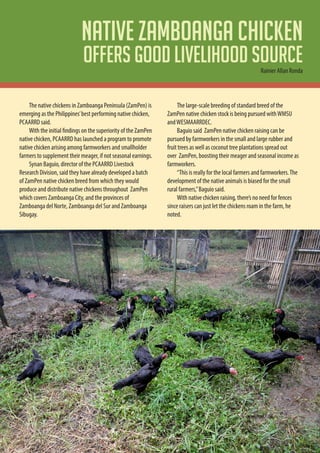 Fiesta mag native chicken (zam pen) | PDF