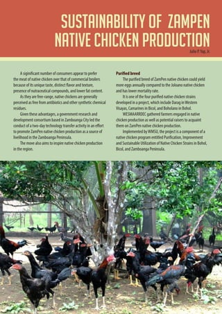 Fiesta mag native chicken (zam pen) | PDF