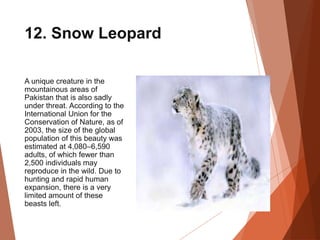 Fifteen endangered animals in pakistan are at risk By Mr Allah Dad Khan ...