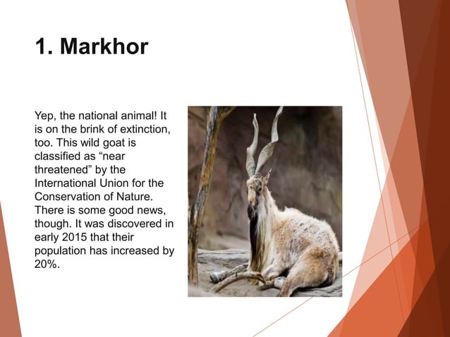 Fifteen endangered animals in pakistan are at risk By Mr Allah Dad Khan ...
